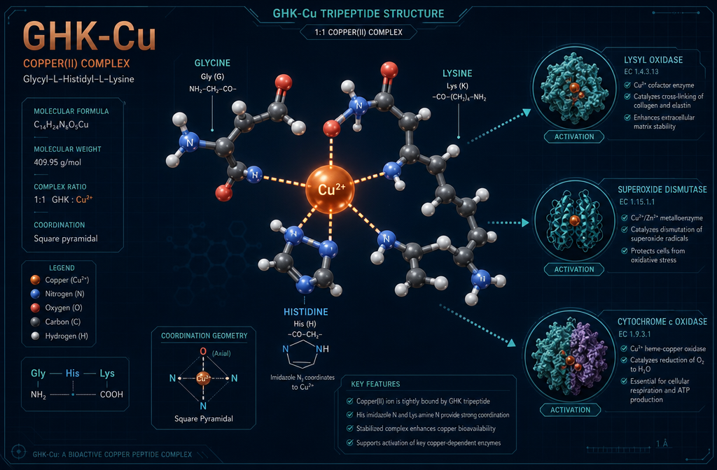 GHK-Cu Peptide: Copper Binding, Collagen Synthesis, and Skin-Repair